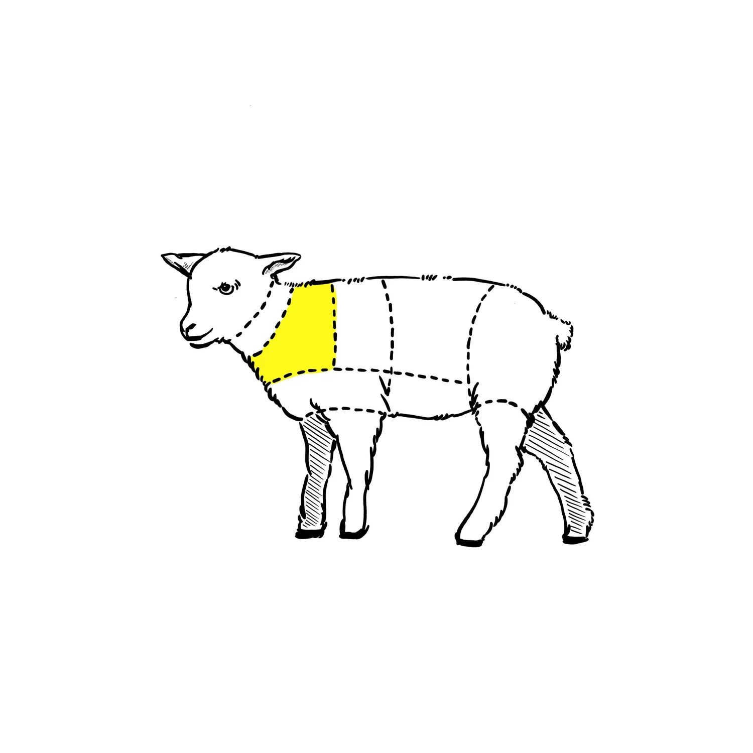 Lamb Shoulder — The Chop Shop Butchery