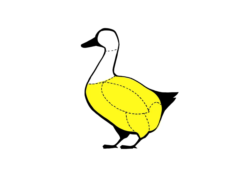 Whole Duck — The Chop Shop Butchery