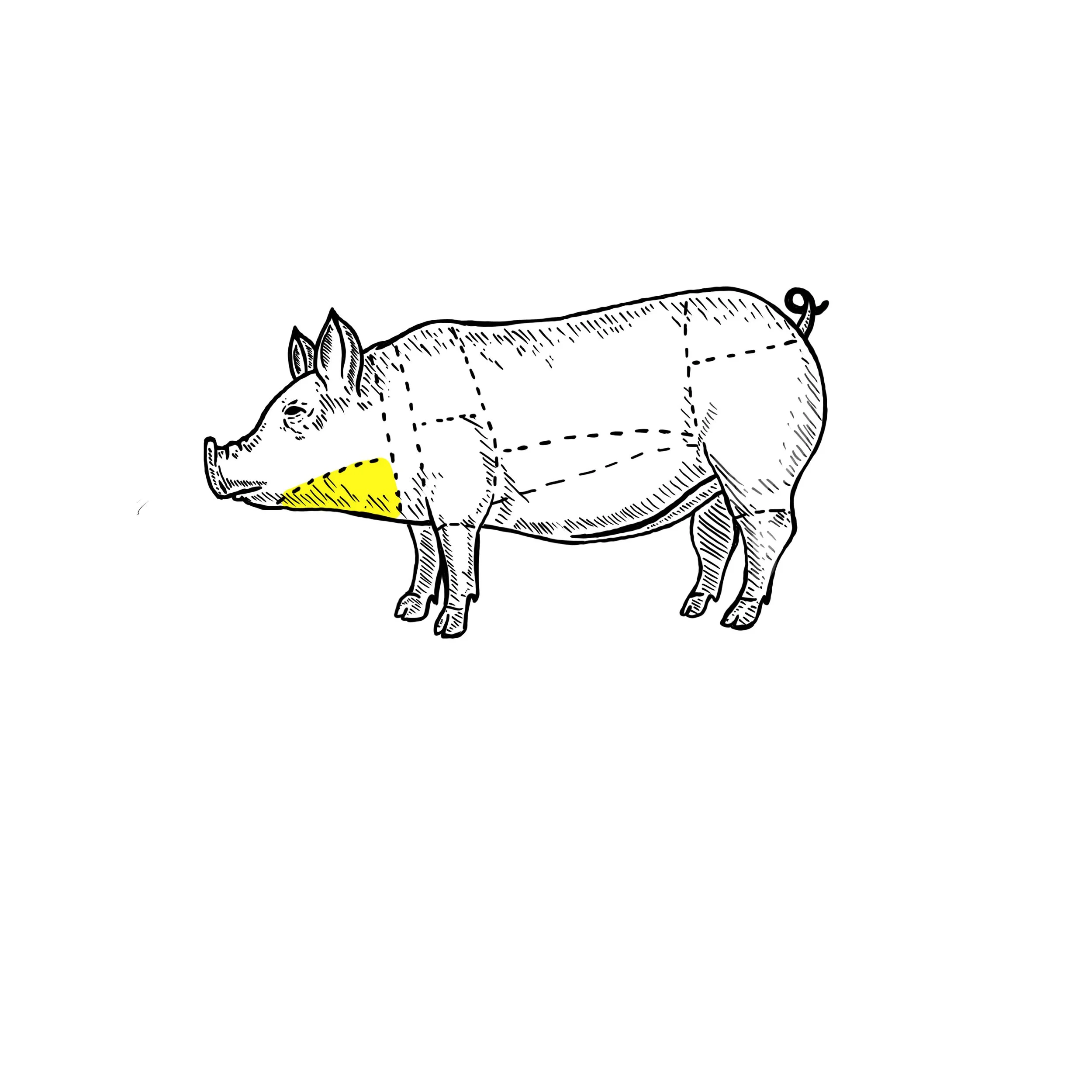 Pork Jowl — The Chop Shop Butchery