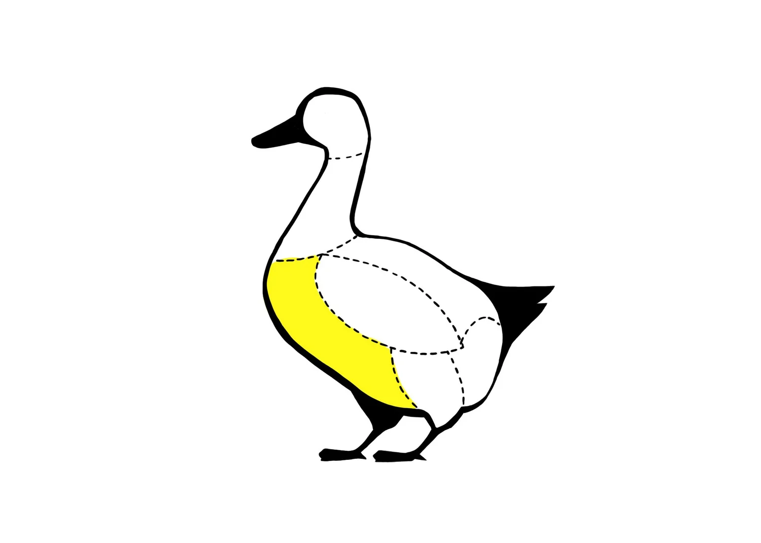 Duck Breast — The Chop Shop Butchery