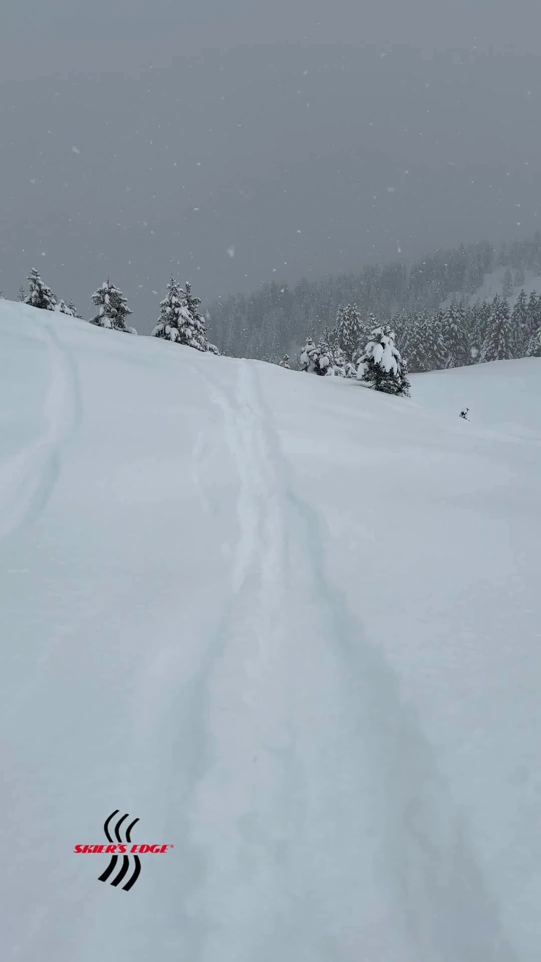 Products — Skier's Edge UK