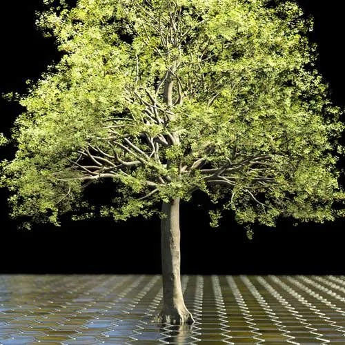 Better Billboards using Normal Maps (Low Poly Trees) — 3D SECRETS ... Better Billboards using Normal Maps (Low Poly Trees) — 3D SECRETS ...