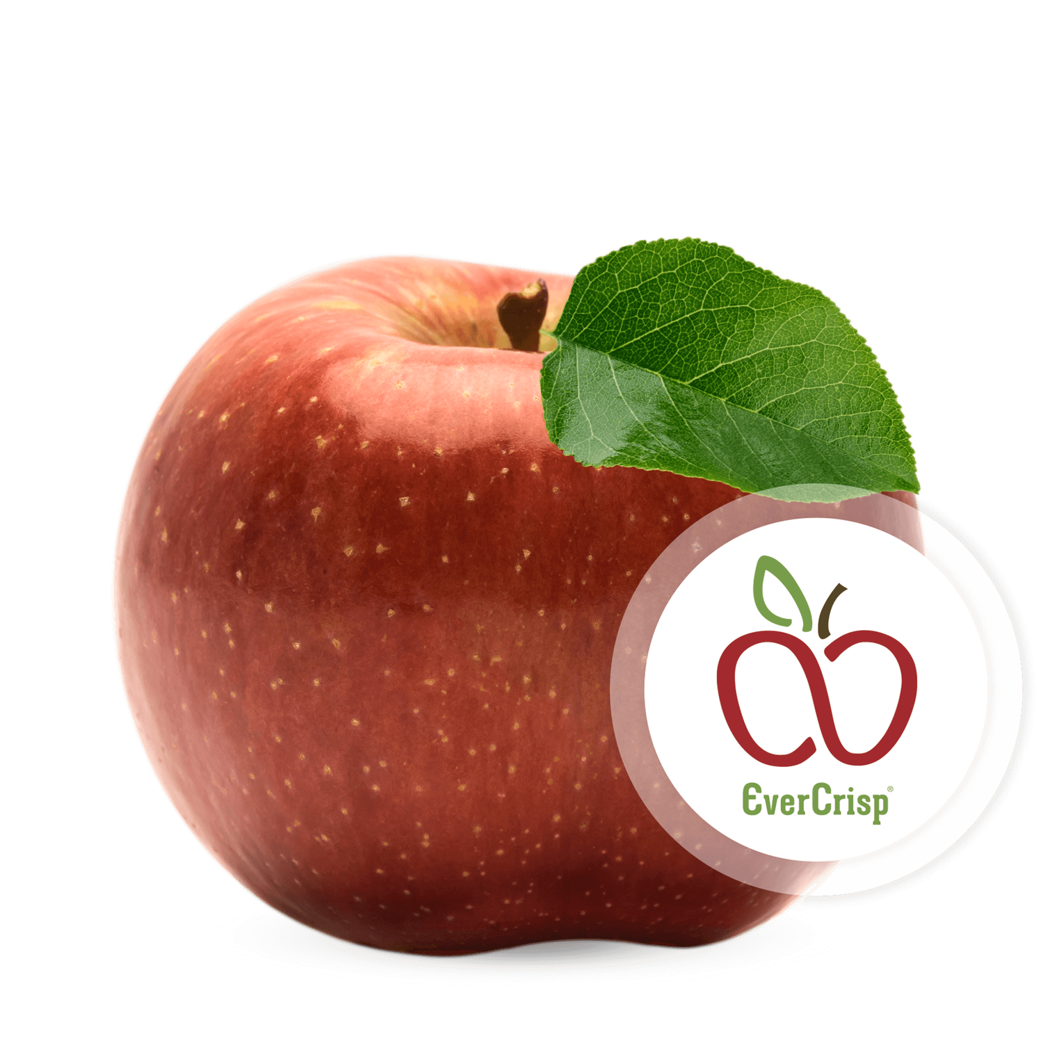 EverCrisp® — CMI Orchards