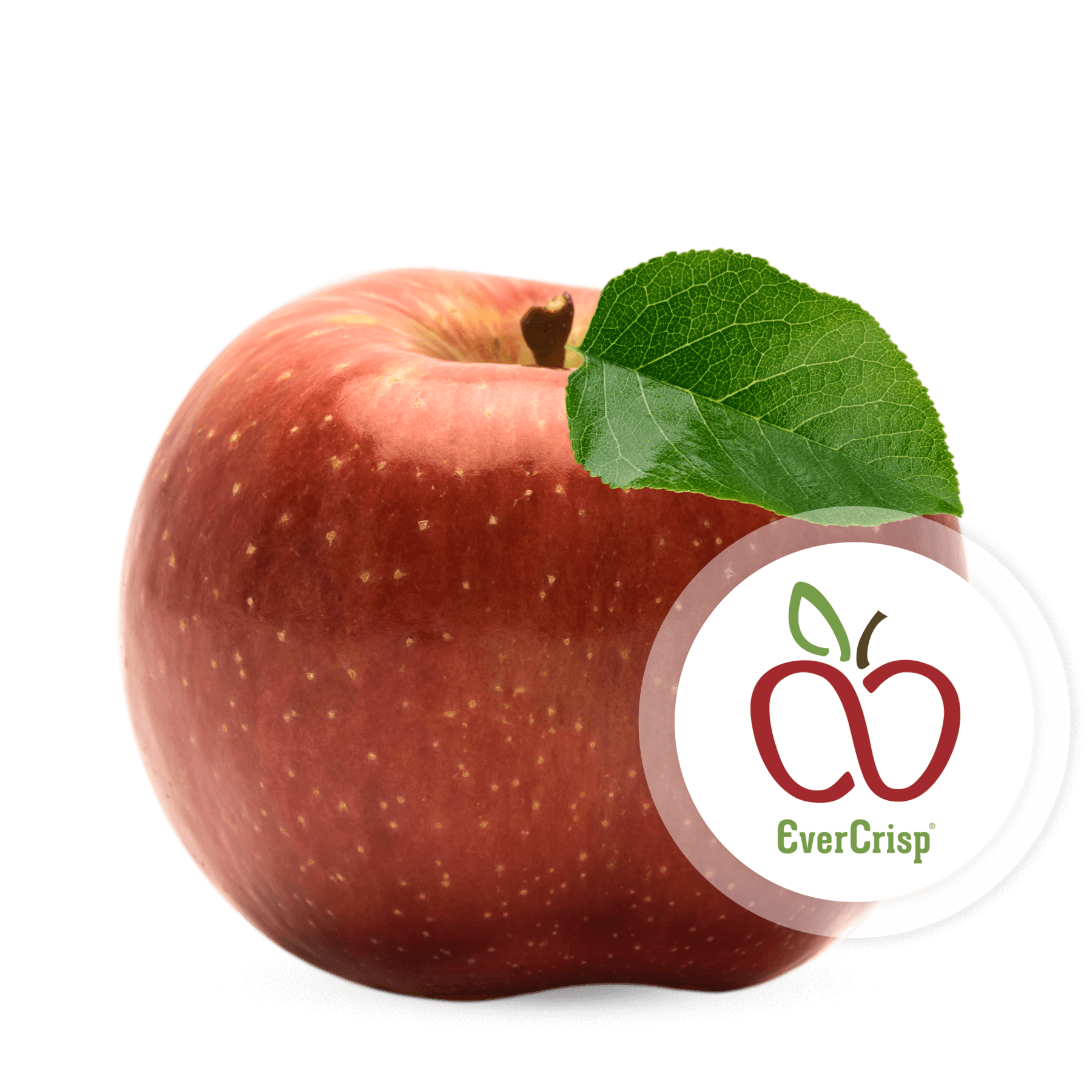 EverCrisp® — CMI Orchards