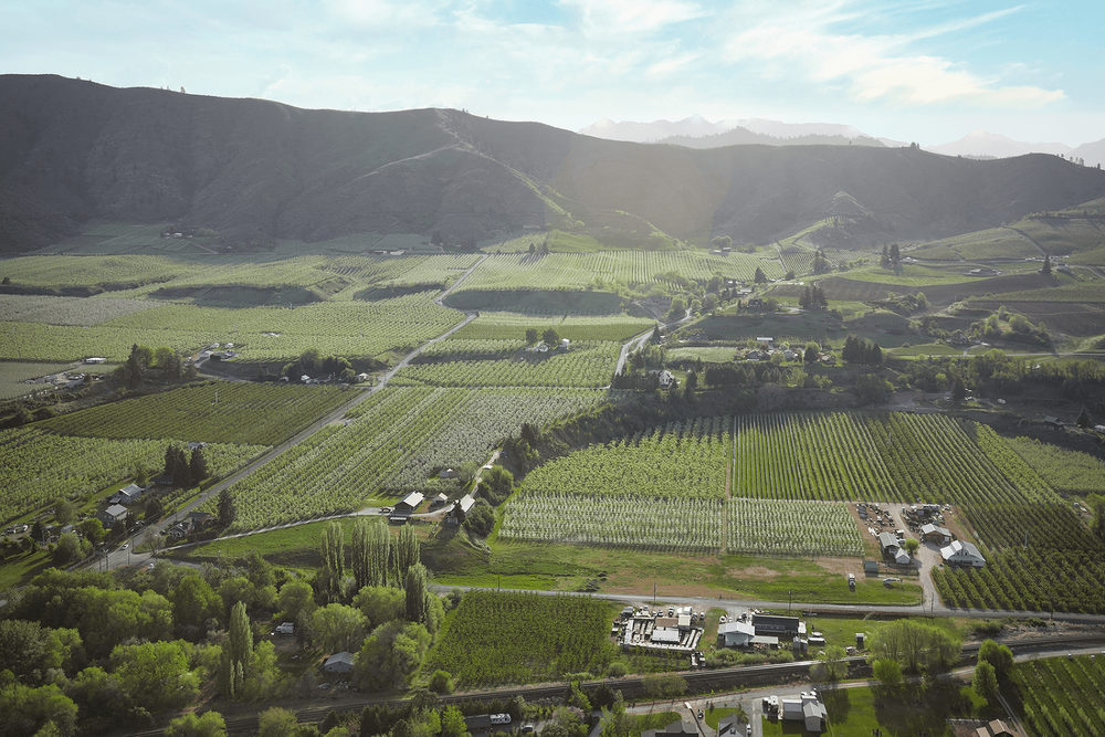Our Region — CMI Orchards