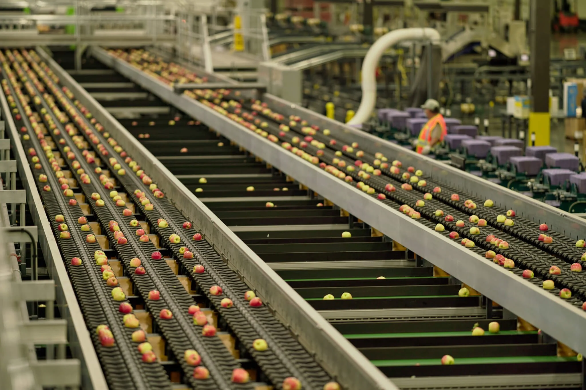 Food Safety — CMI Orchards