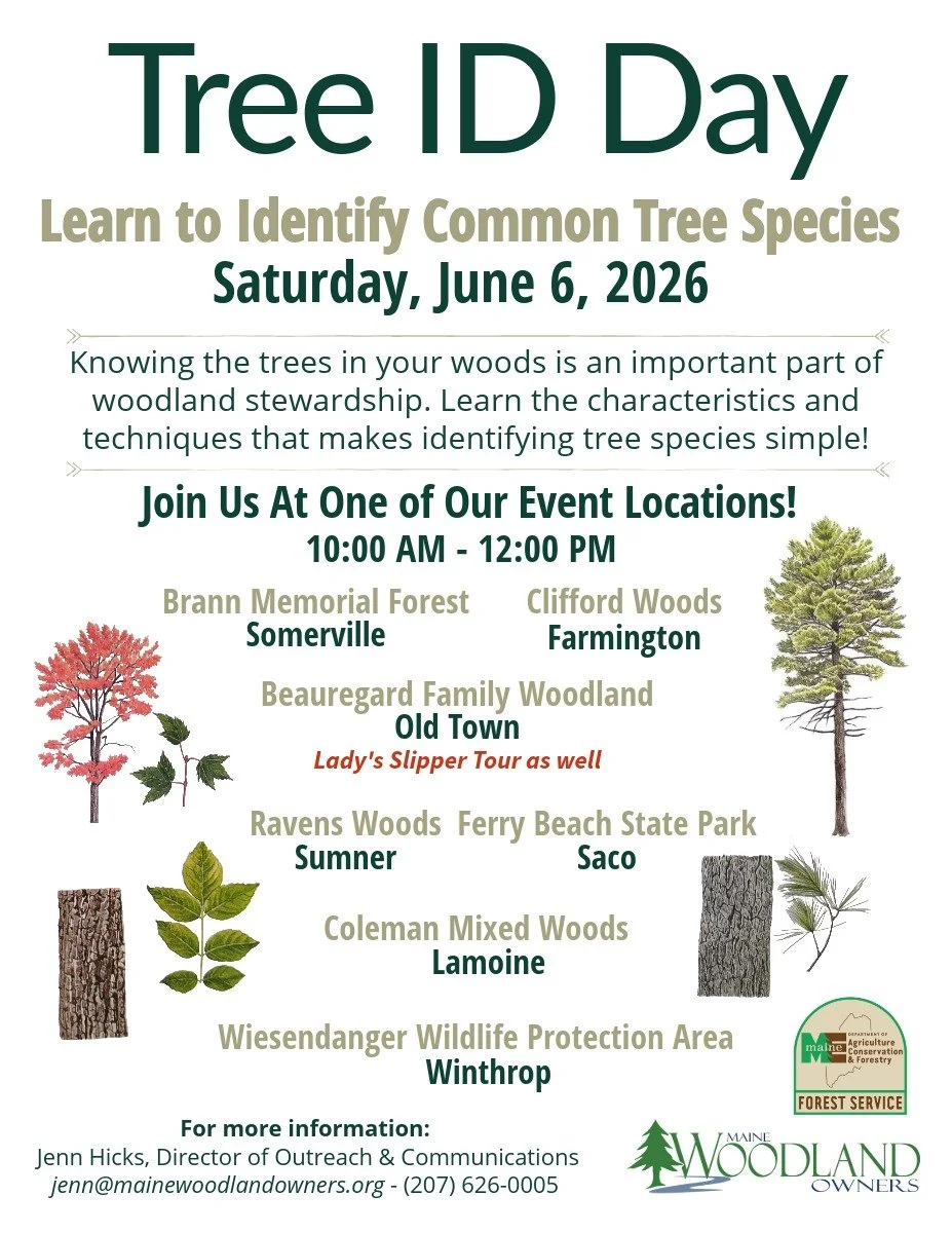Tree ID — Maine Woodland Owners
