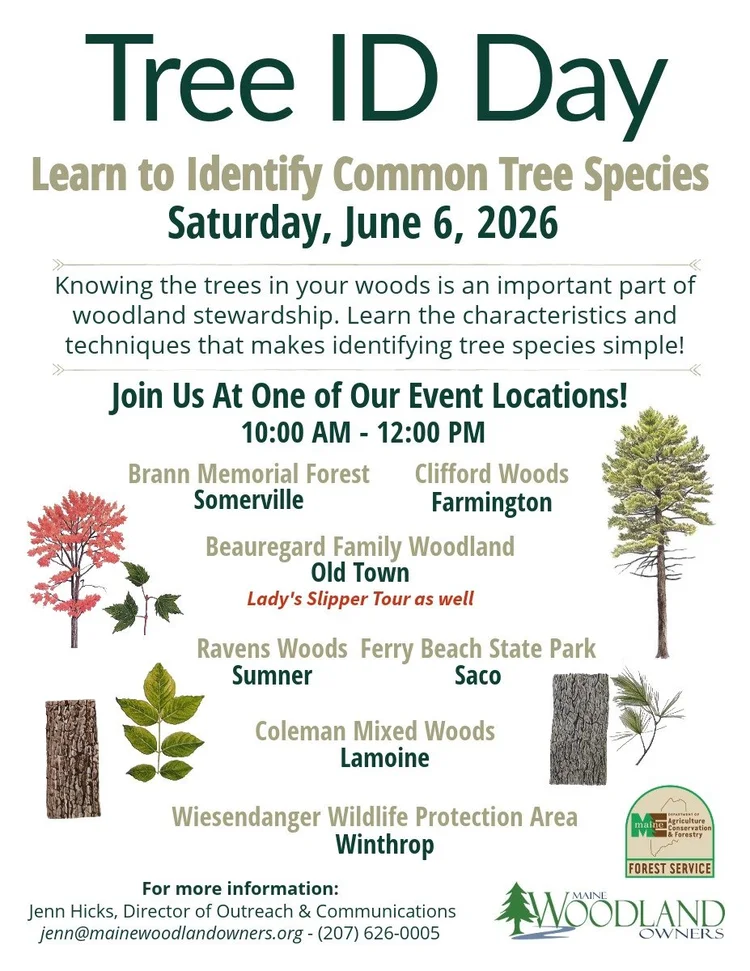 Tree ID — Maine Woodland Owners