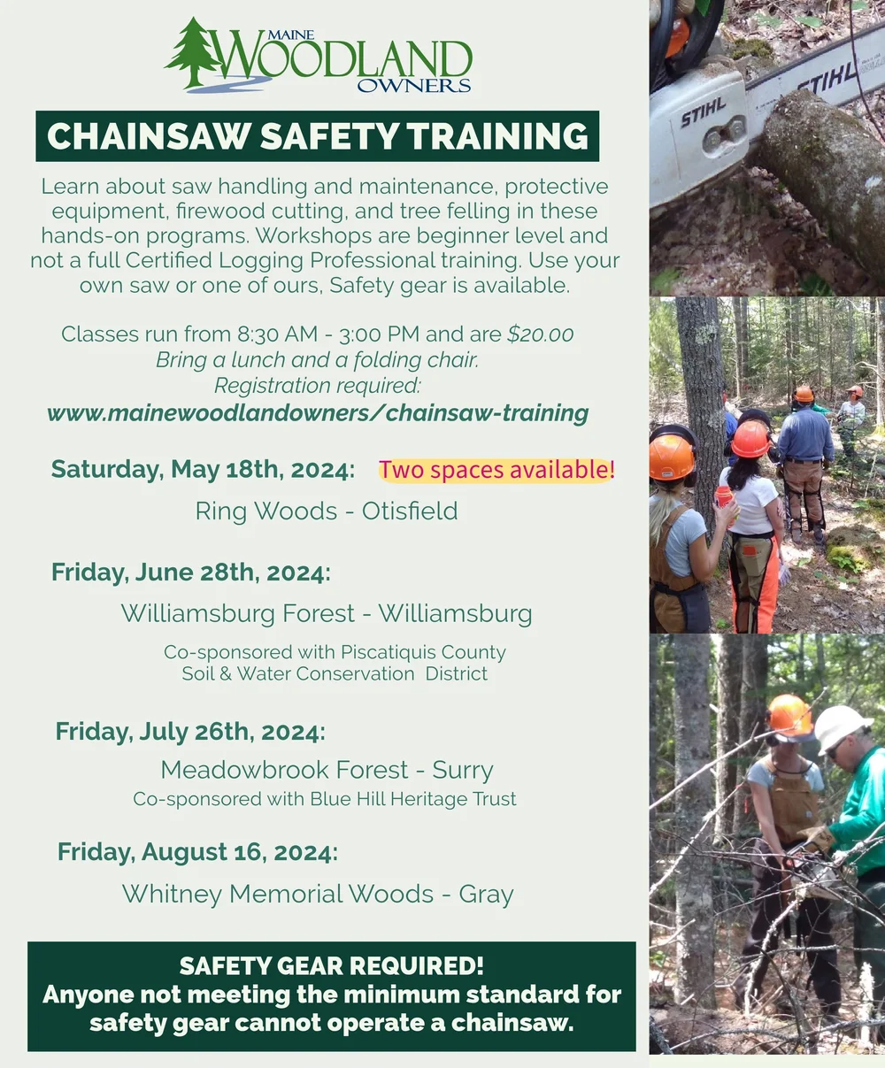 Chainsaw Training — Maine Woodland Owners