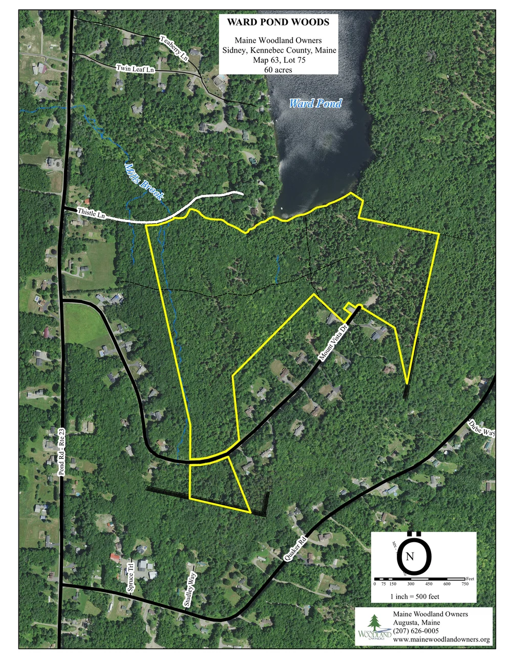 Ward Pond Woods — Maine Woodland Owners