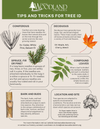 Tree ID — Maine Woodland Owners