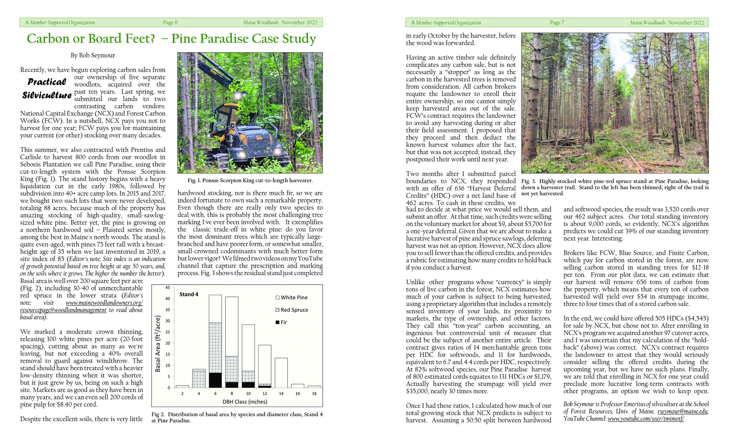 Carbon or Board Feet? - Pine Paradise Case Study — Maine Woodland Owners