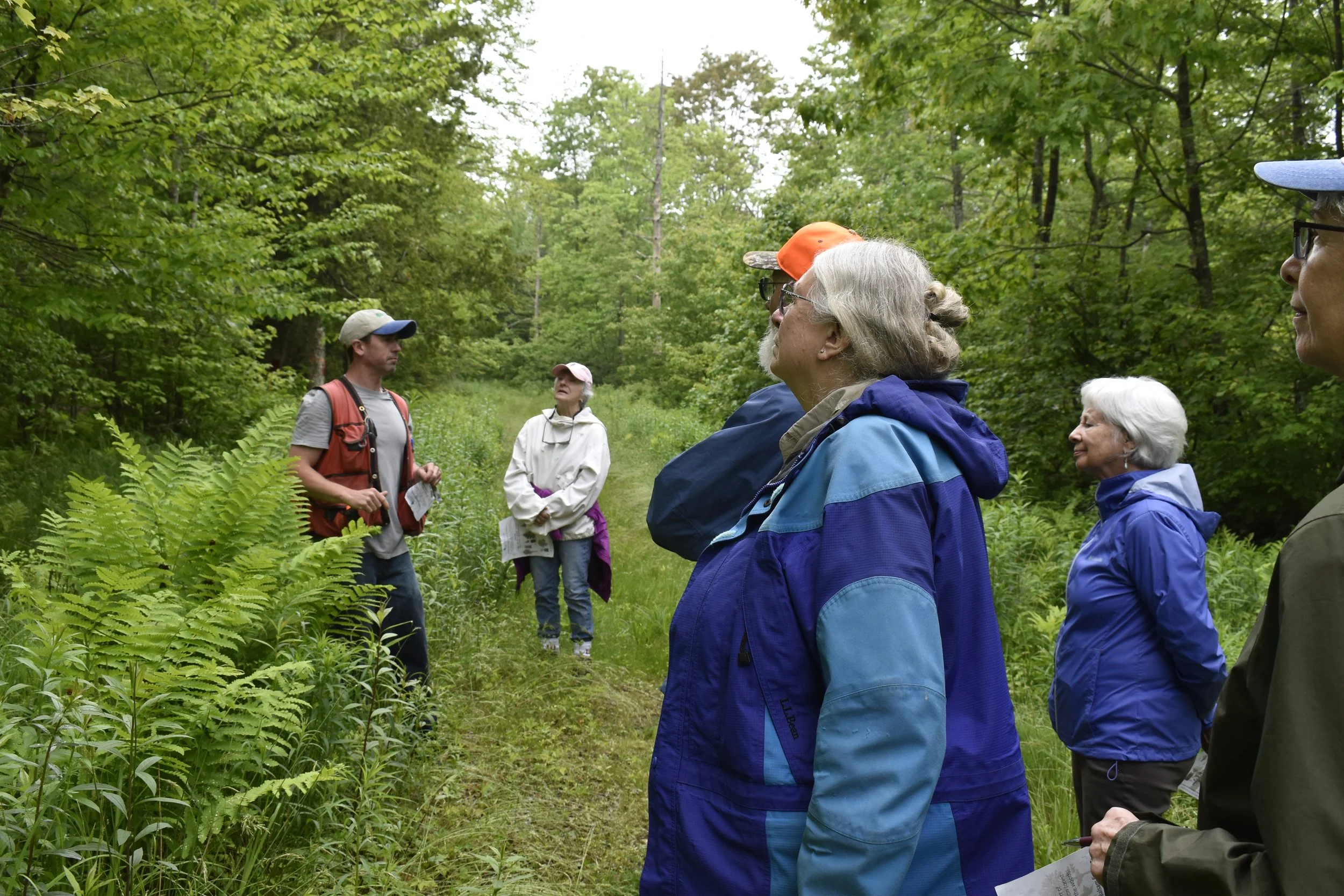 Tree ID — Maine Woodland Owners