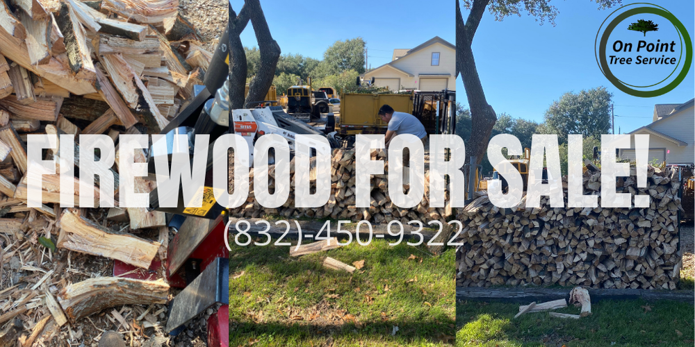 On Point Tree Service