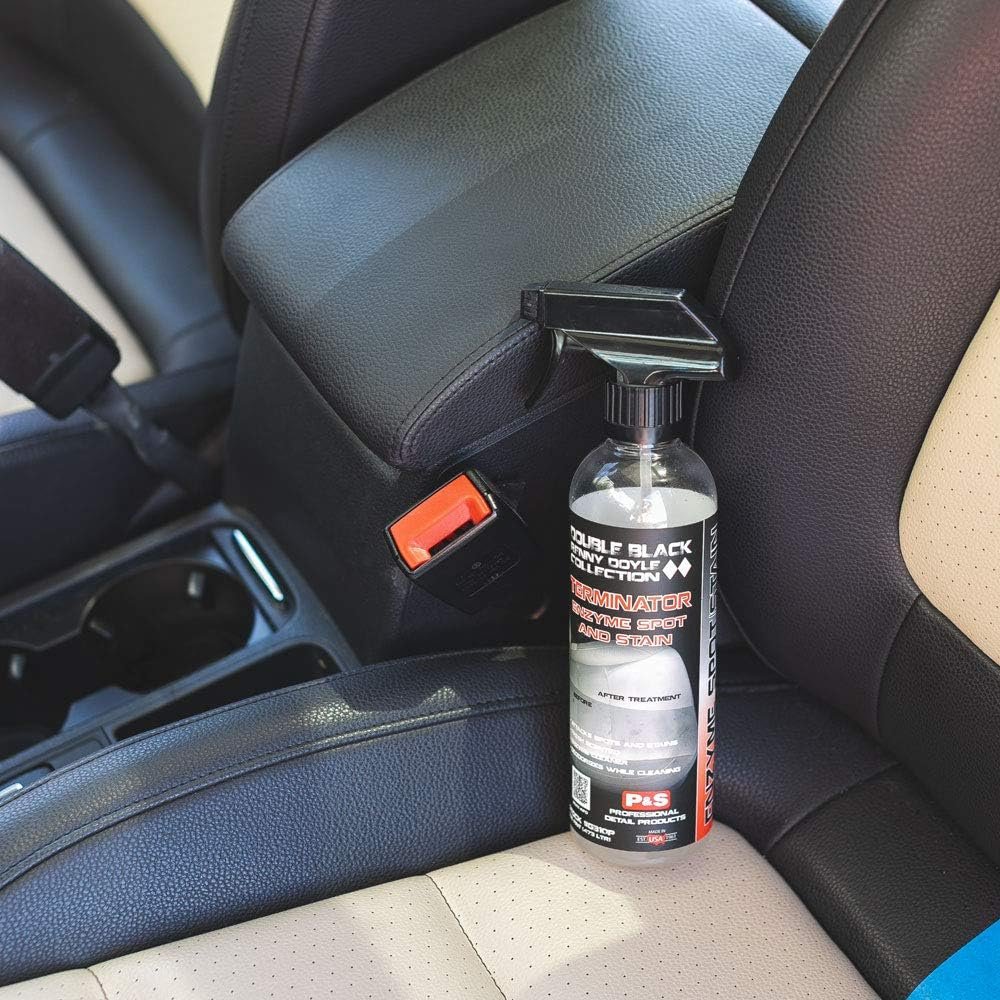 How to Remove Mold and Mildew Smell from Your Car Interior Effectively