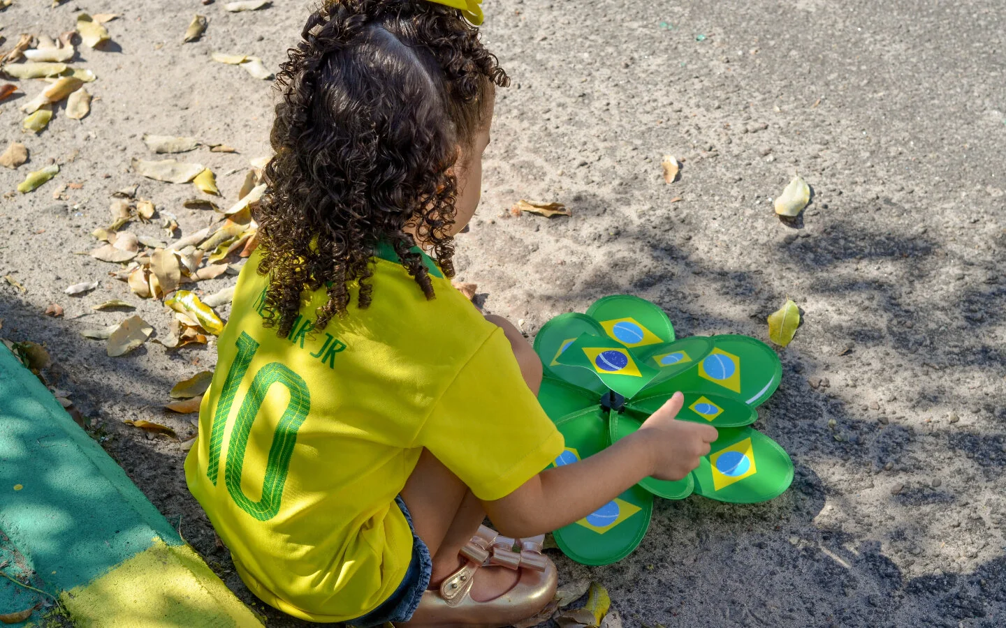The Bio-logical Order of Human Dignity in Brazil — Open Plaza