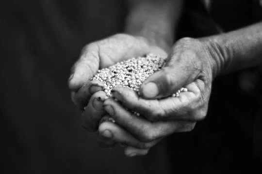 Sowing the Sacred — Open Plaza