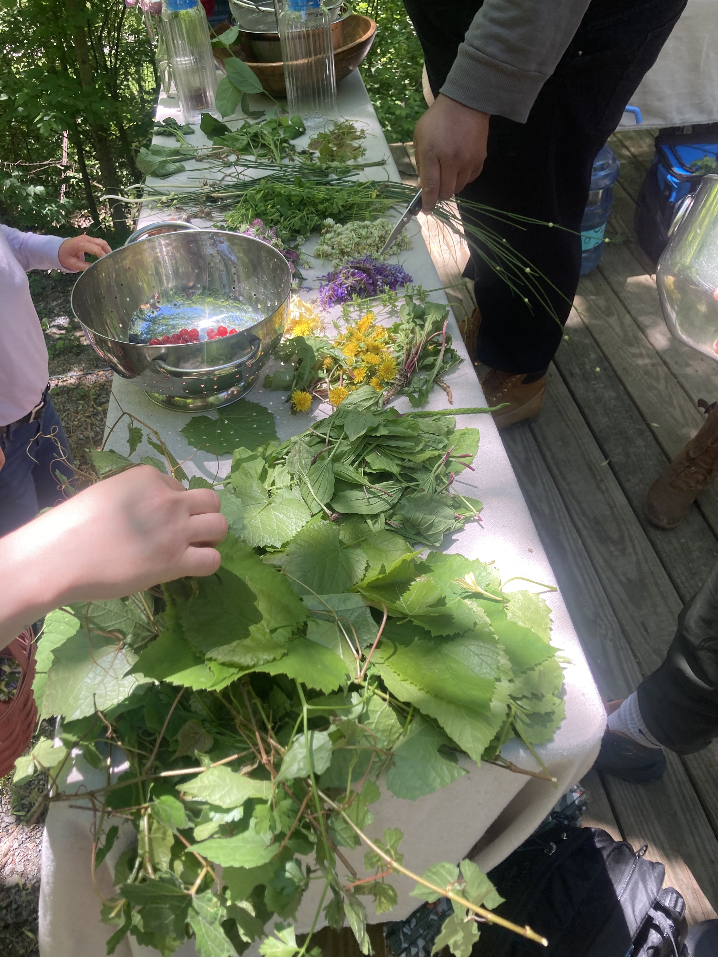 Adult Classes — Nature Explorers