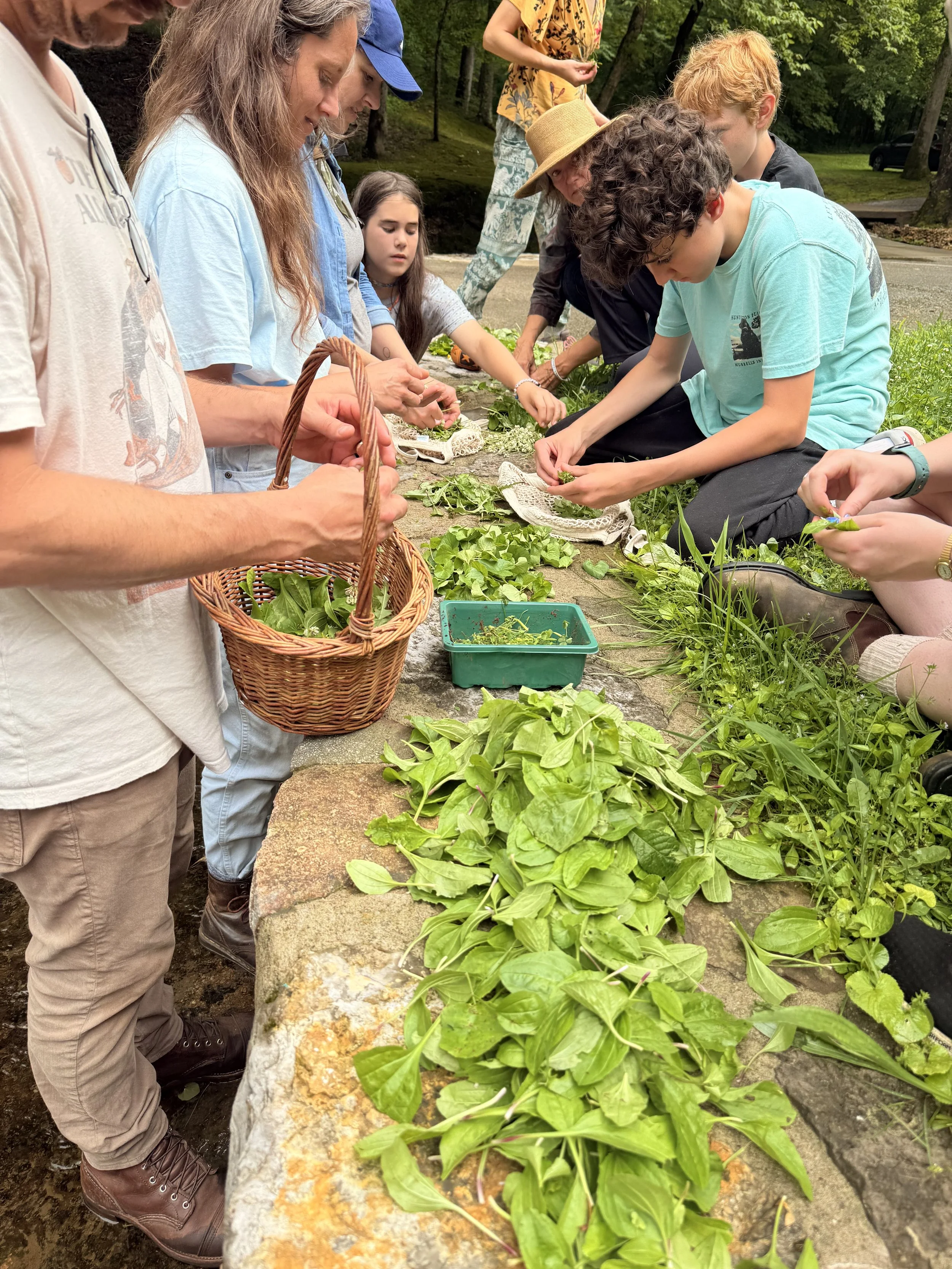Adult Classes — Nature Explorers