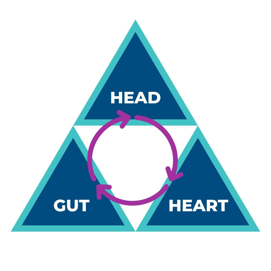 Mastering Holographic Thinking & Understanding The Three Brain Theory ...