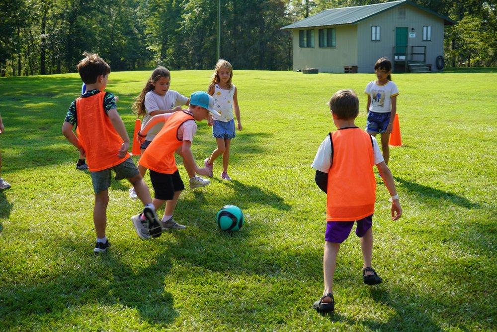 Day Camp — Camp Cale