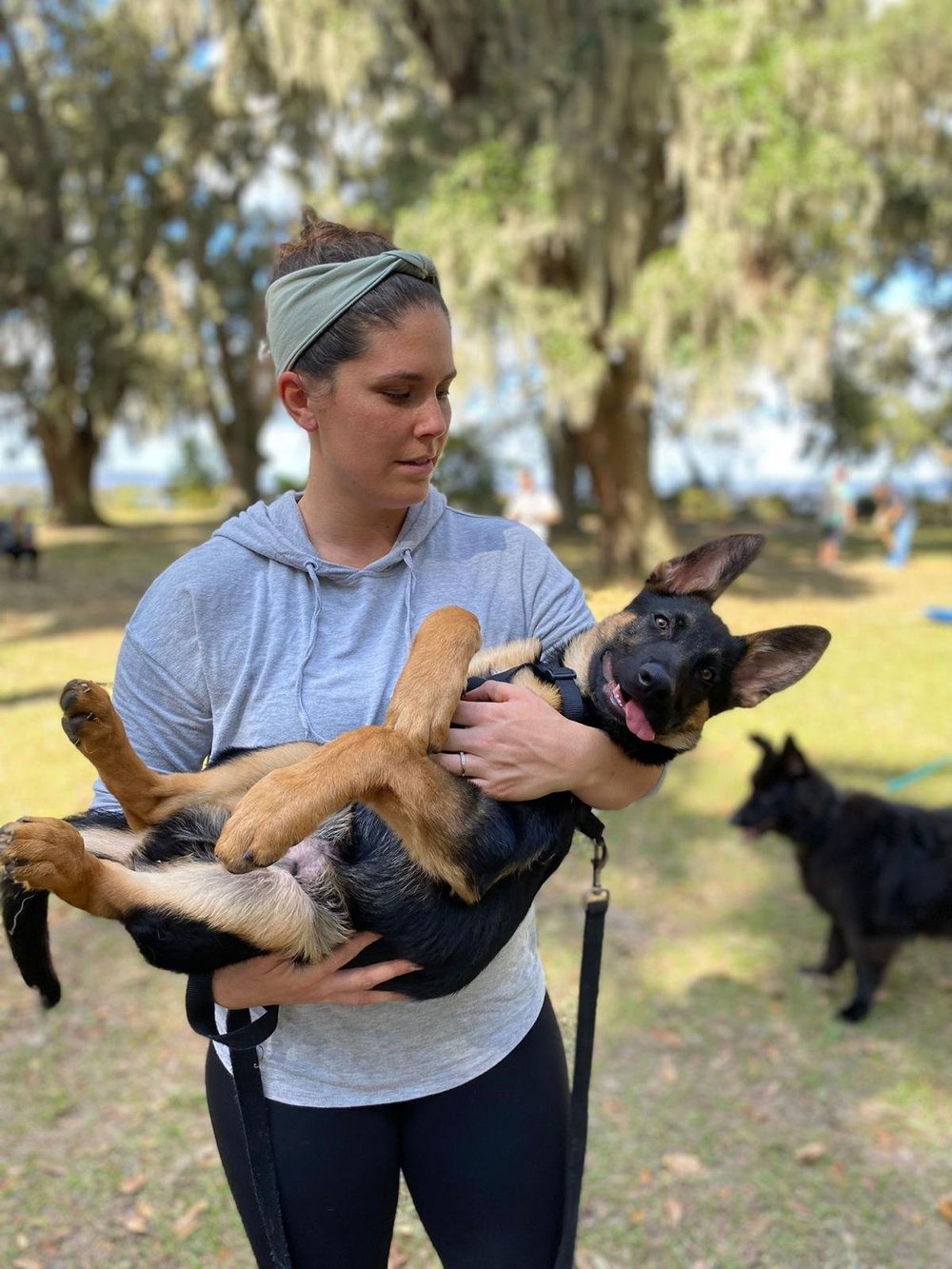 Dog Training - Board & Train | The K9 Encounter | Dog Training Expert ...