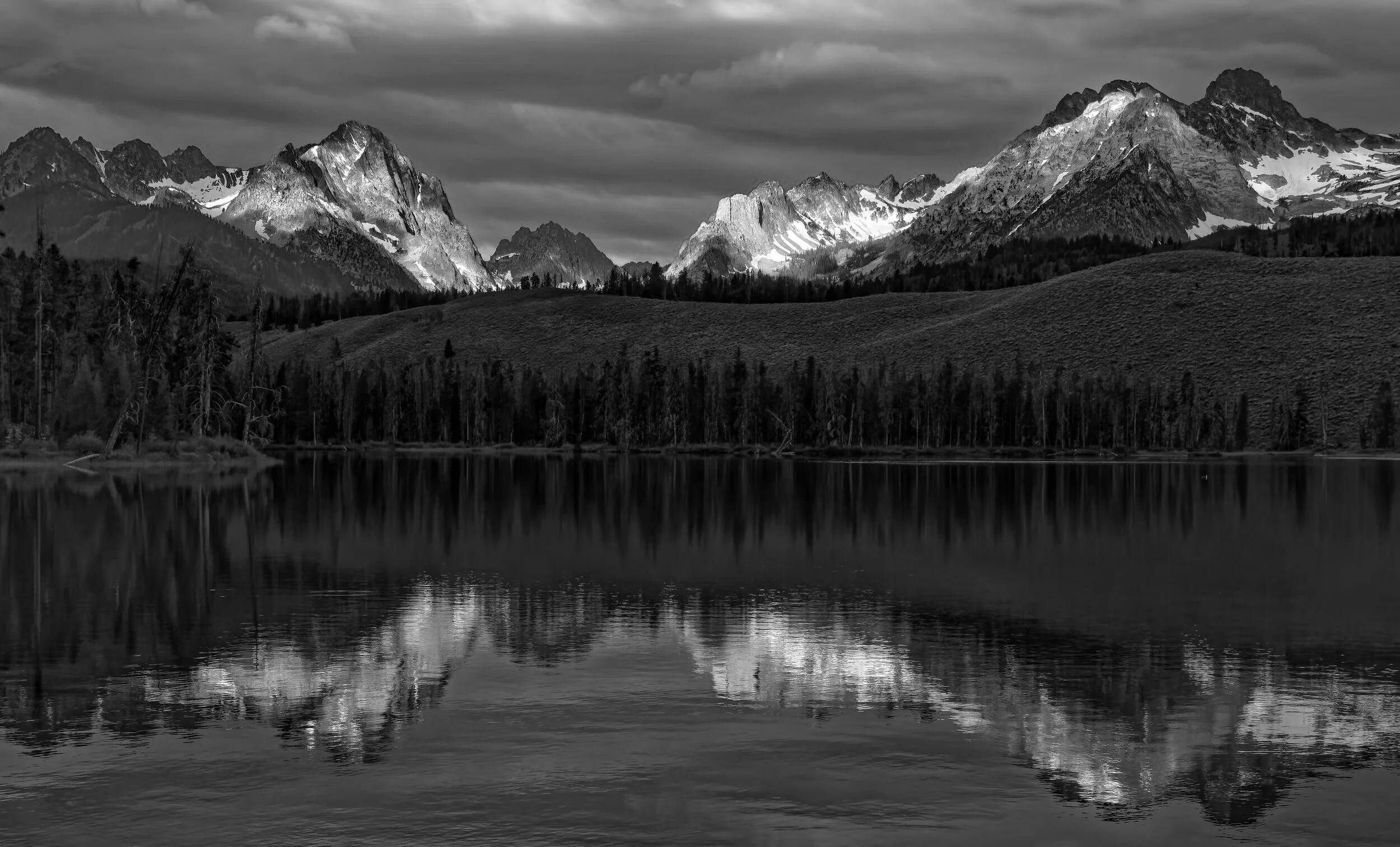 My Professional Experience | Greg Goodson