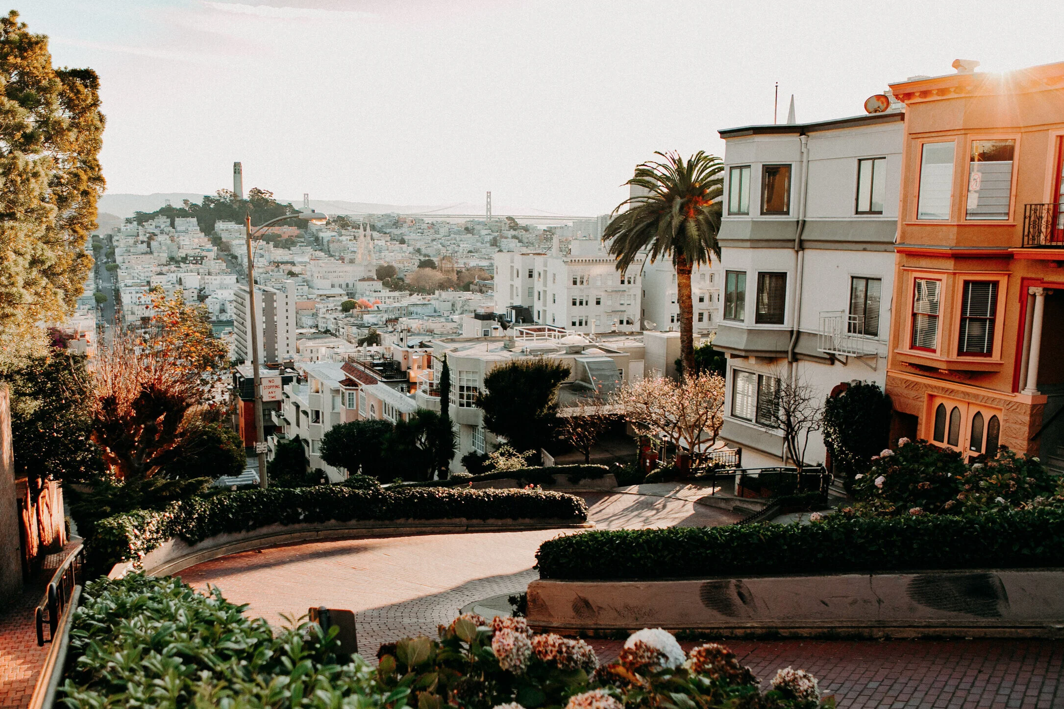 Zac Rose & Associates