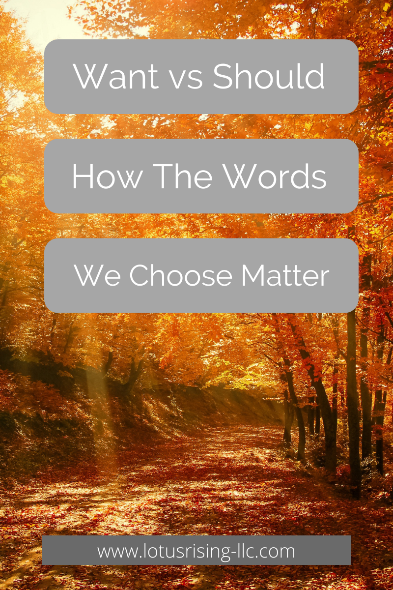 Should VS Want. How The Words We Choose Matter — Lotus Rising