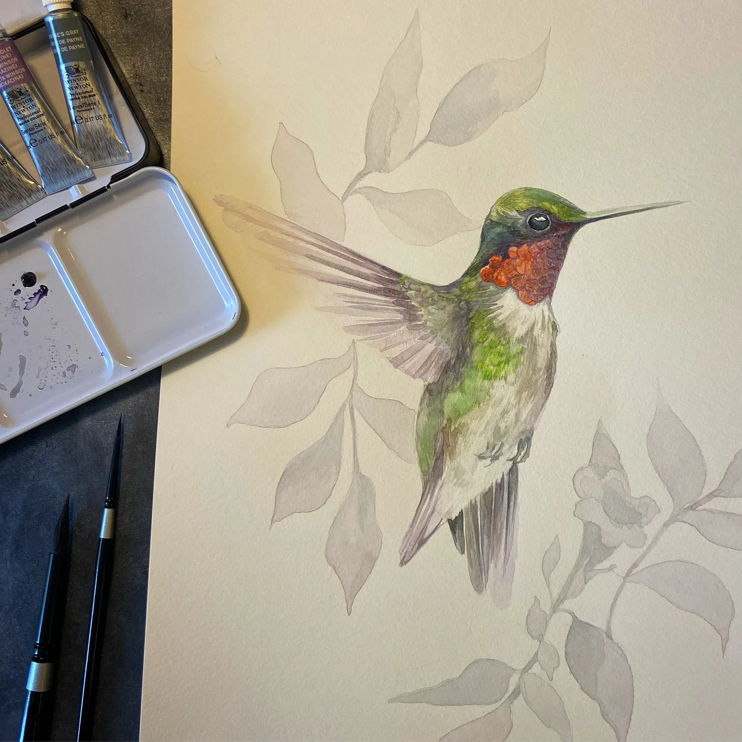 Anna's Hummingbird — Sarah Rose