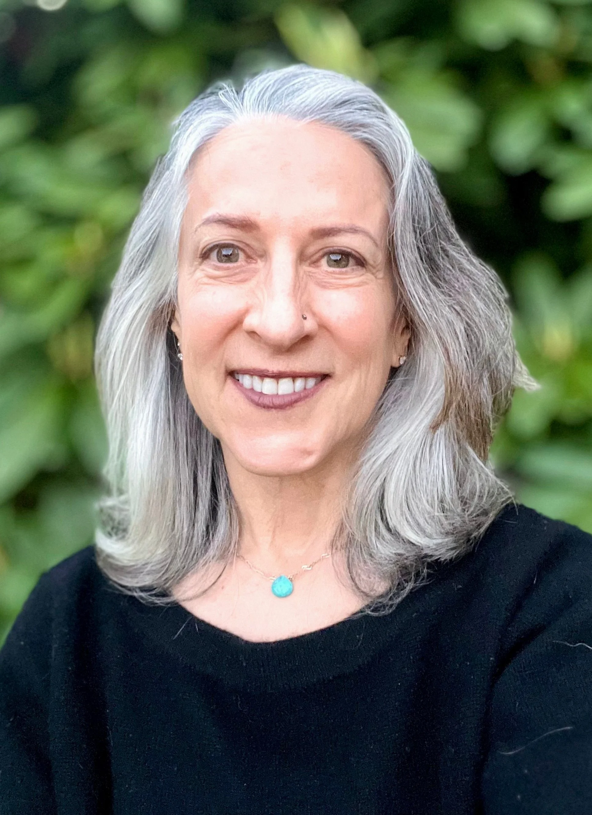 Experience and areas of interest — LESLIE GILBERT LICSW Psychotherapy