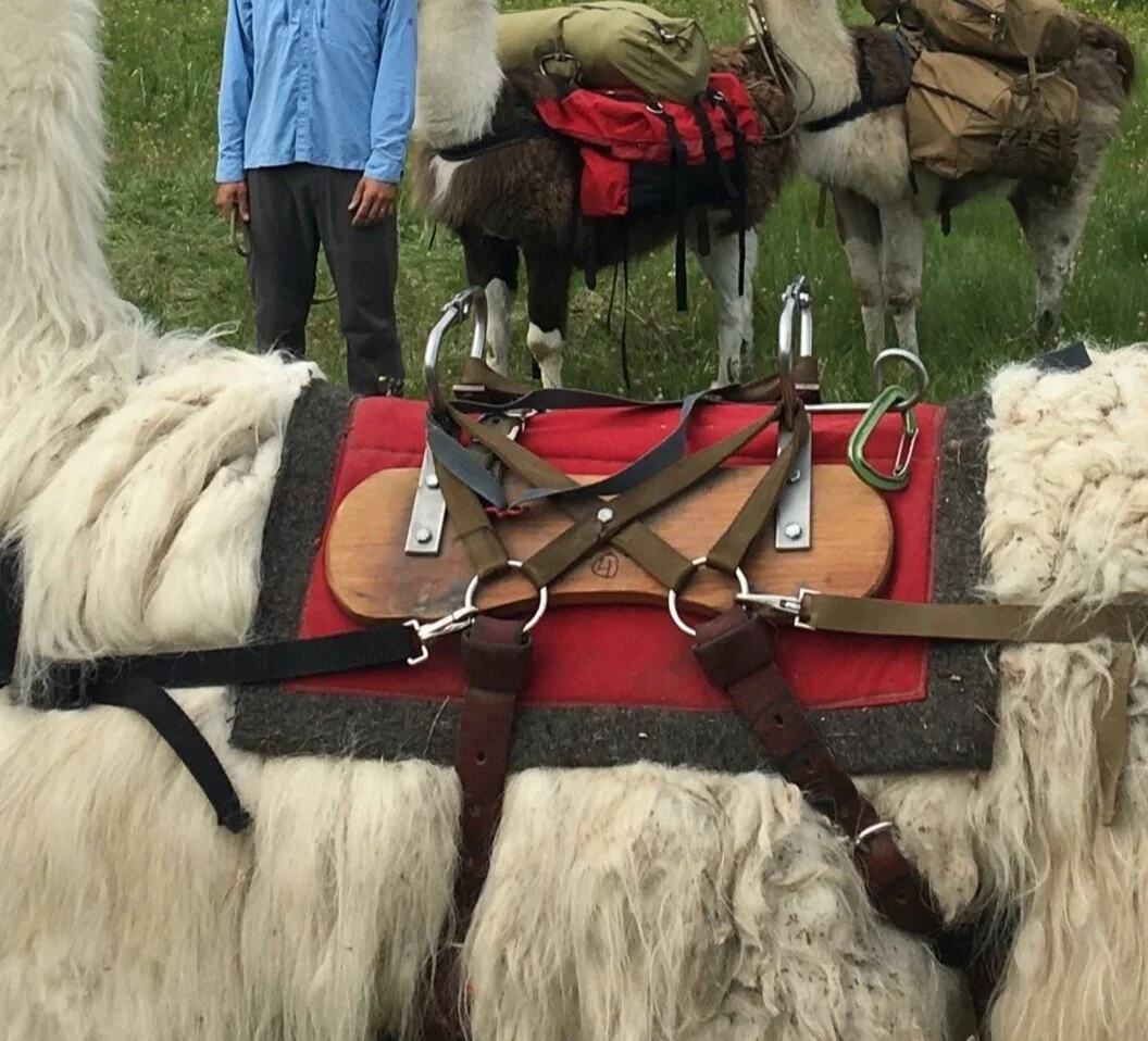 Packing — Bridger Backcountry Llamas