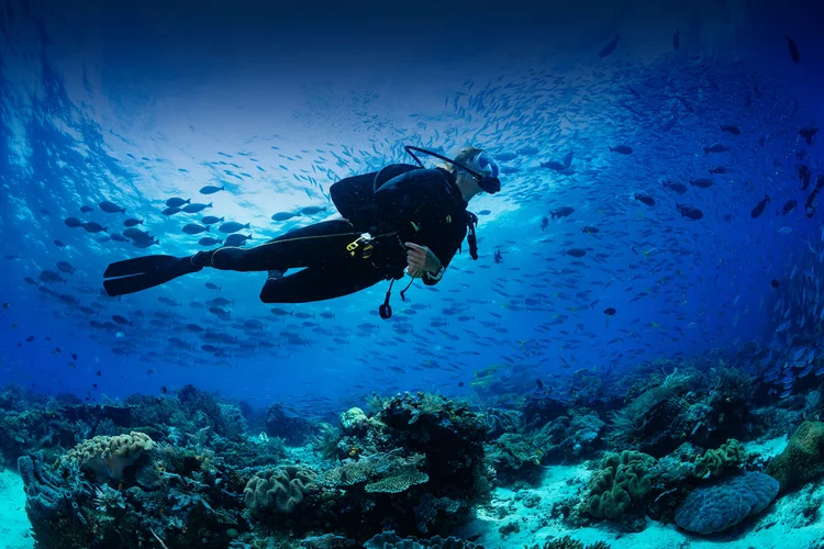 The Diving and Offshore Medical Clinic