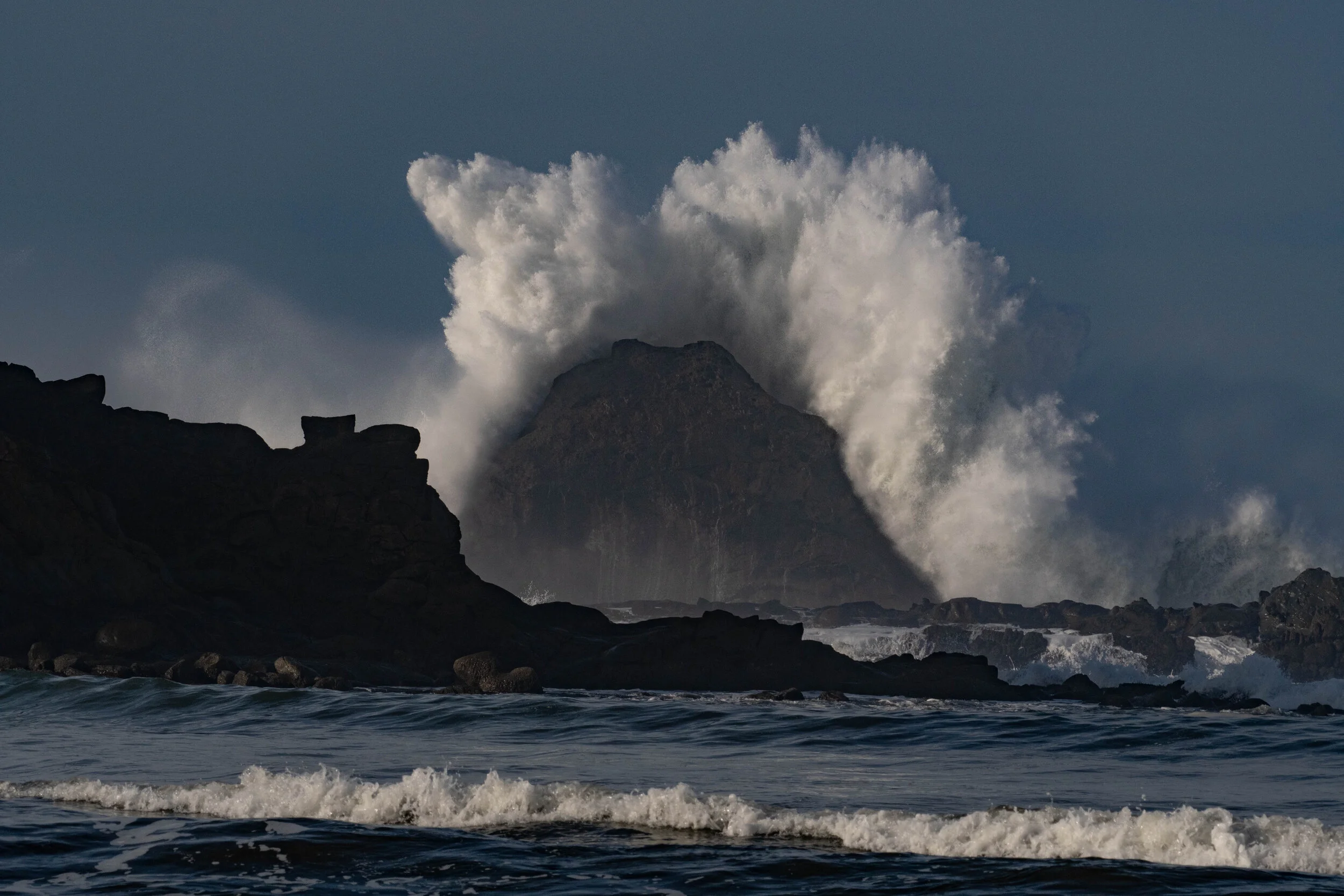 ROCKY INTERTIDAL HABITAT — LAURA TESLER PHOTOGRAPHY