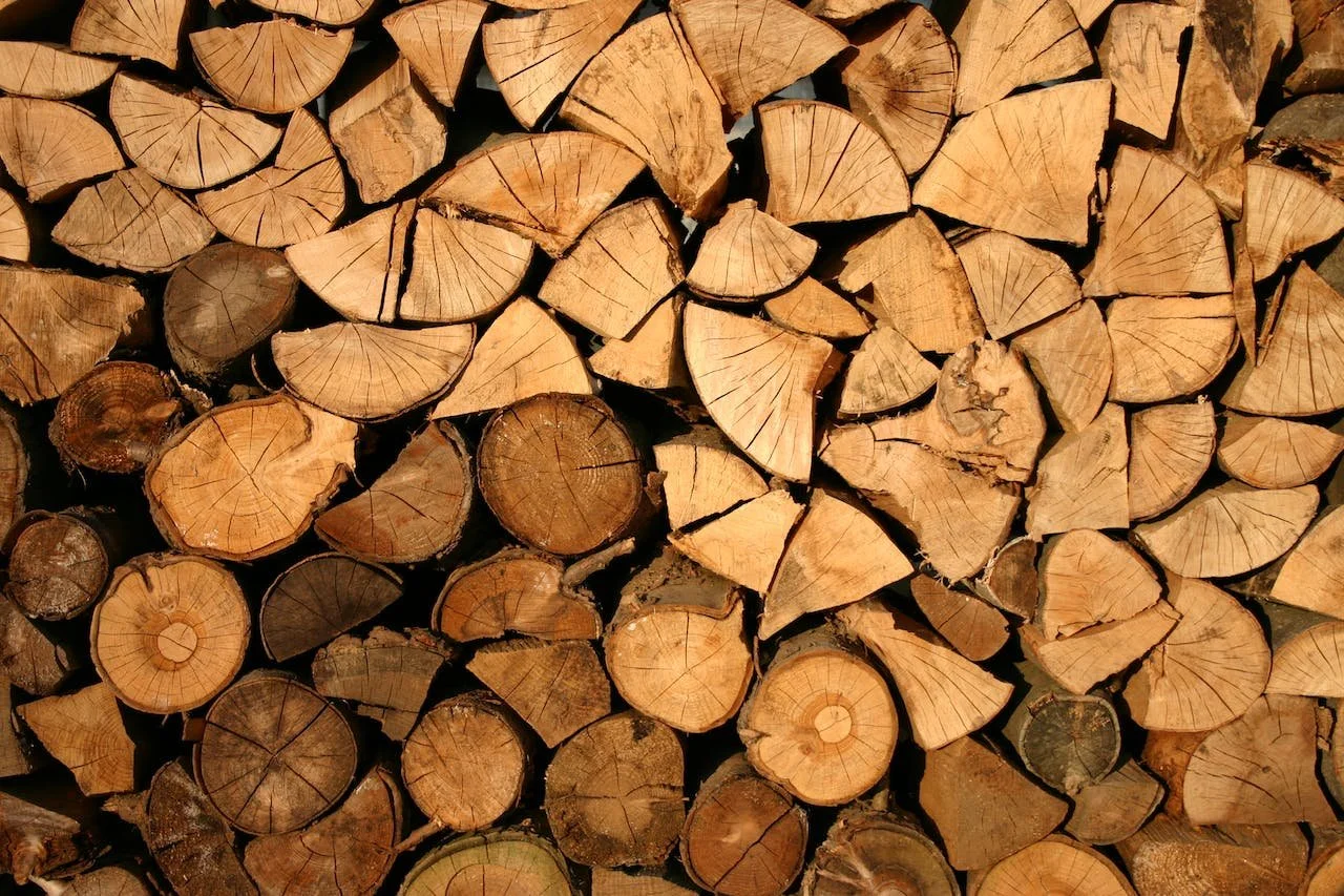 How to Identify Wood-Boring Pests’ Hideouts — Russell Pest Control