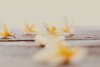 Menu 1 — Looma Spa