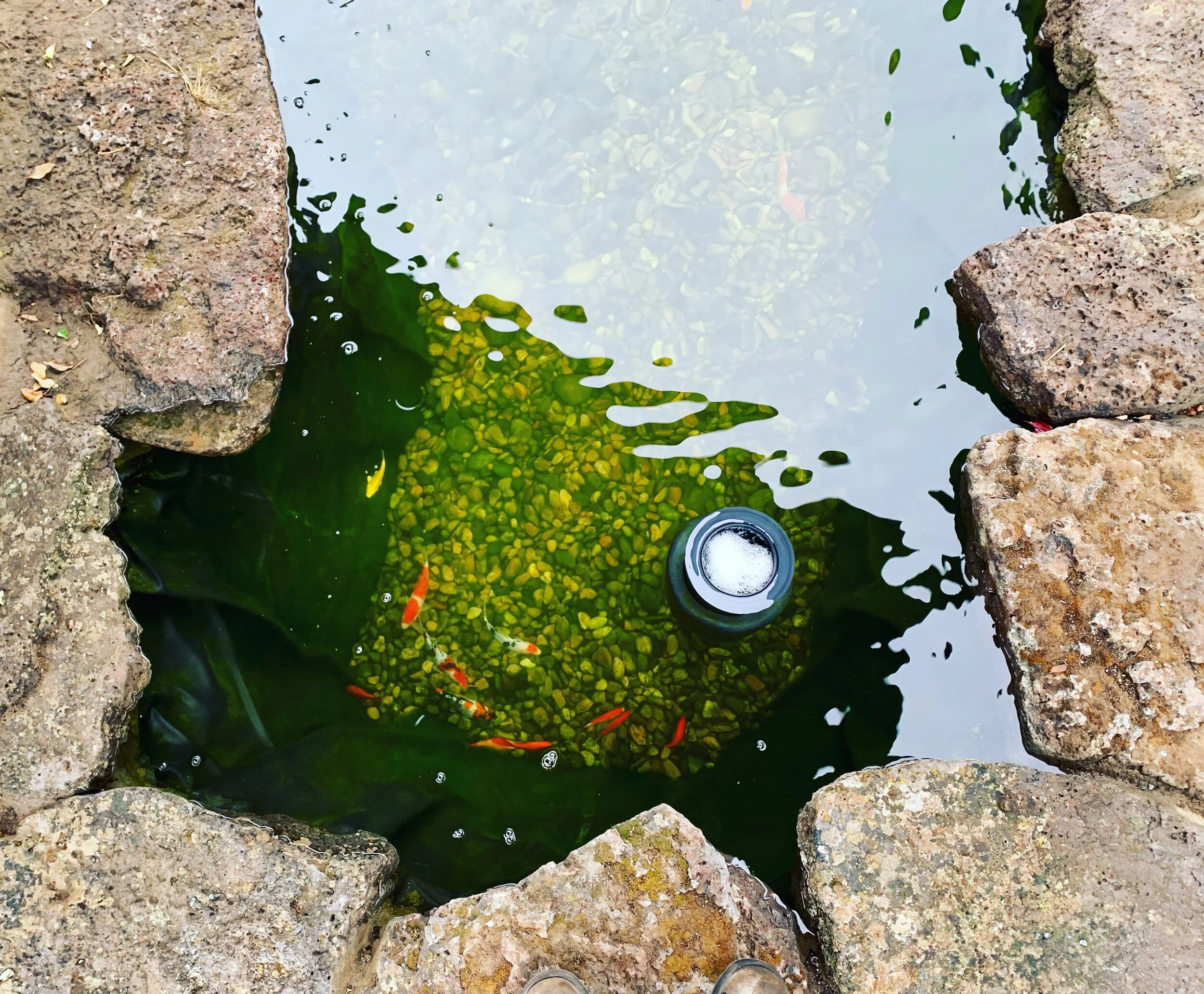 Expert concrete koi pond design and construction and state of the art ...