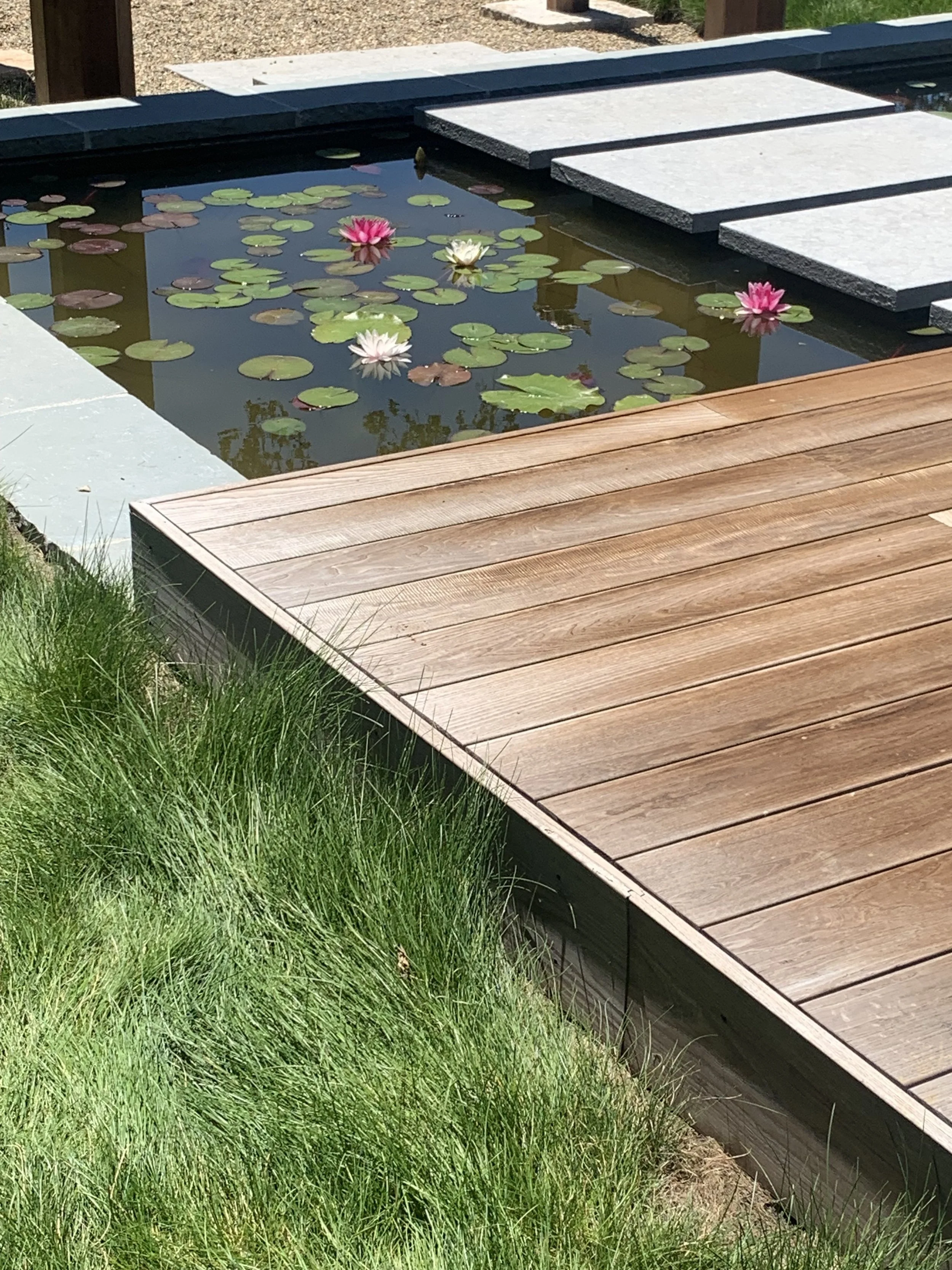 Expert concrete koi pond design and construction and state of the art ...