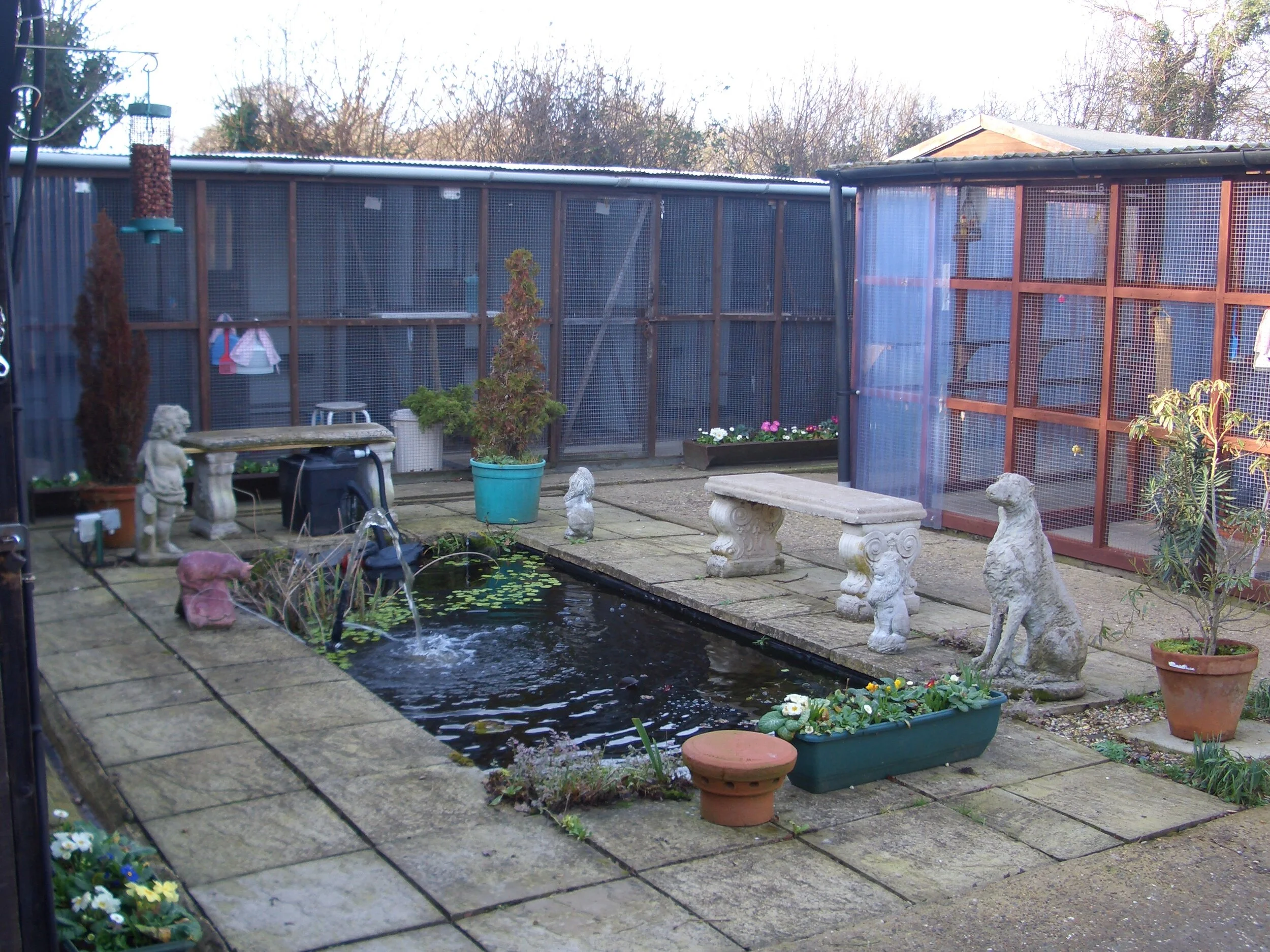 Gull Cottage Cattery | 5 star licensed cat boarding services