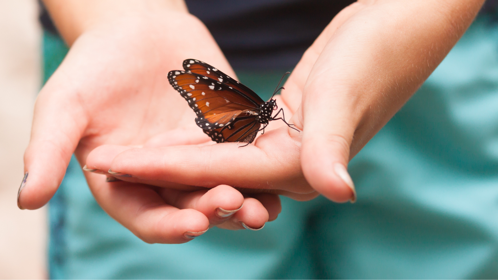 Giving Up Thinking It Matters — Kathryn W Barr