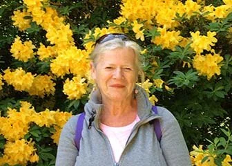 About Sandy — Return Of The Doves