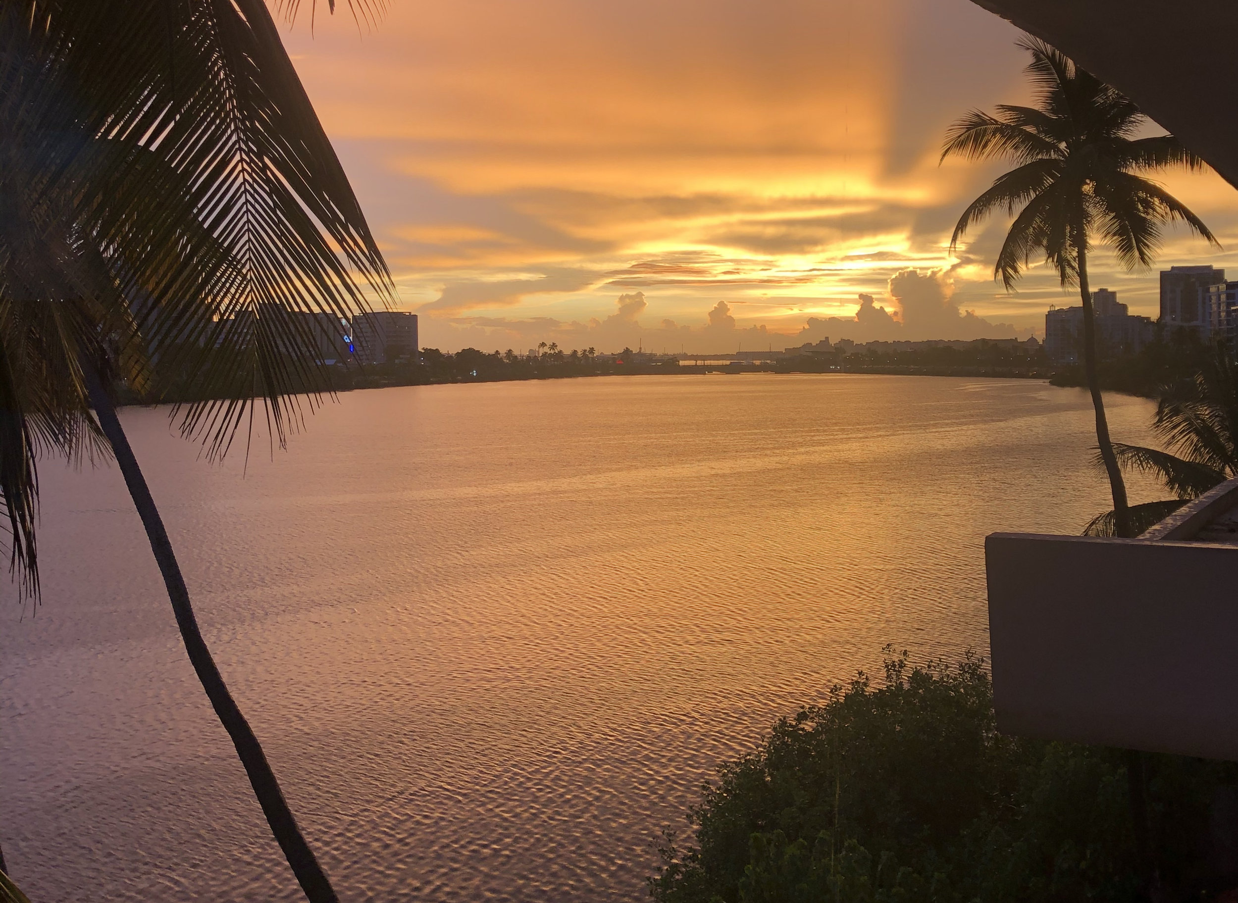 Héctor Carrión's Academic Journal