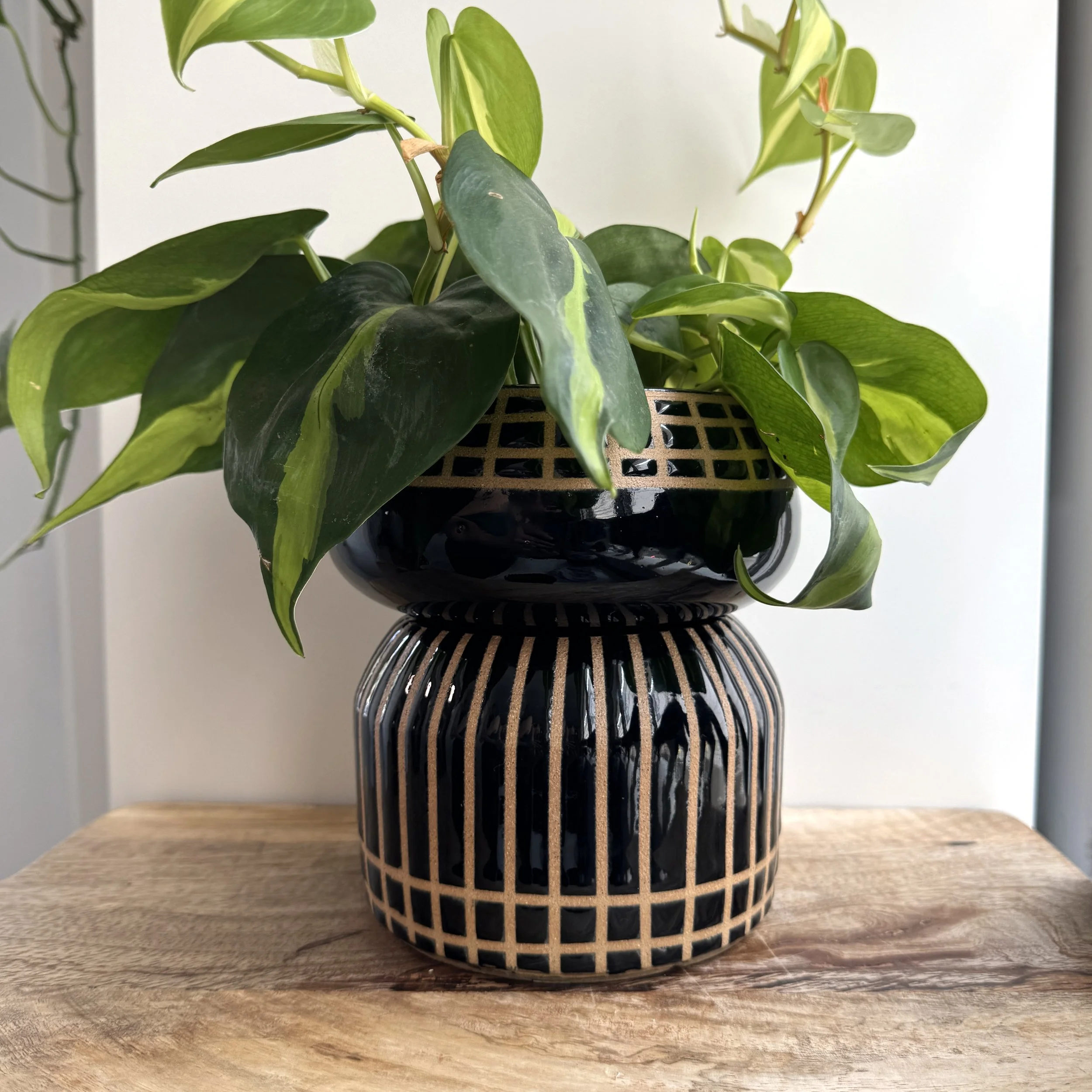 Large 2 Piece "Grid" Planter - Black — MoonKissed Studio