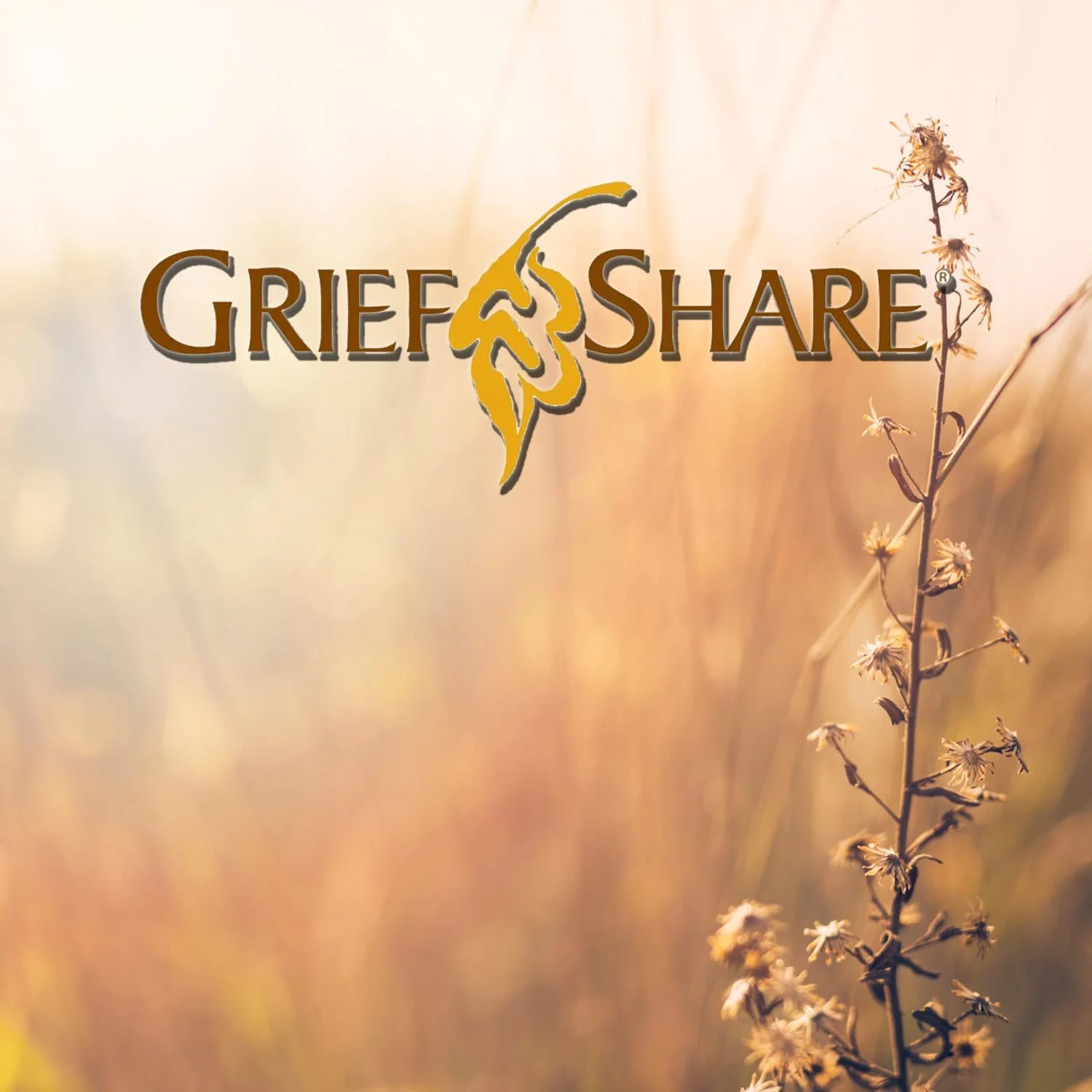 Missions — Grace Evangelical Church