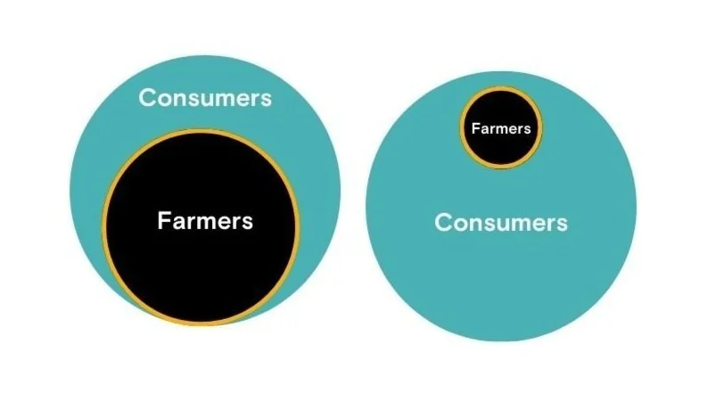Cows, Red Seaweed, and Carbon — Unveiling the Connection — Symbrosia