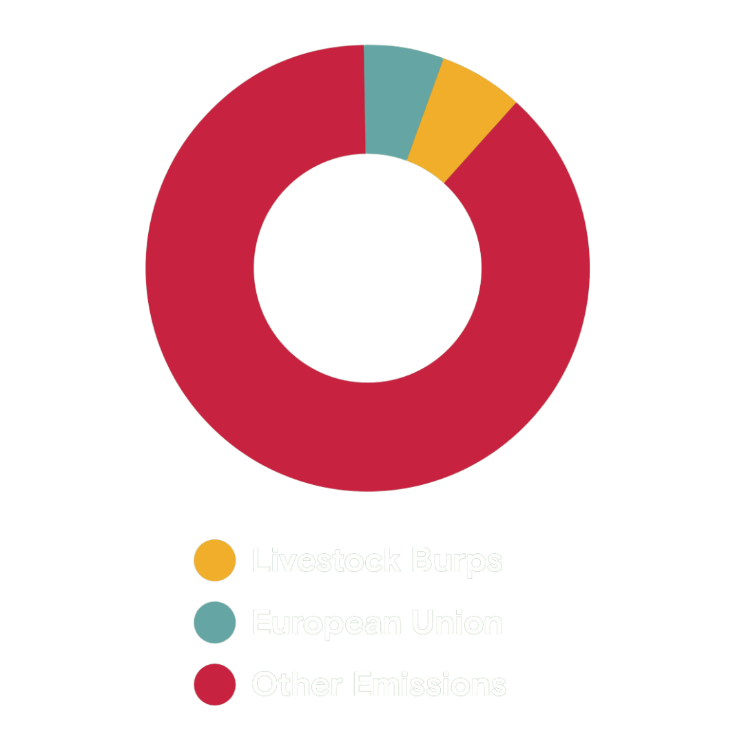 Hawaiʻi's First Low Methane Burger — Symbrosia
