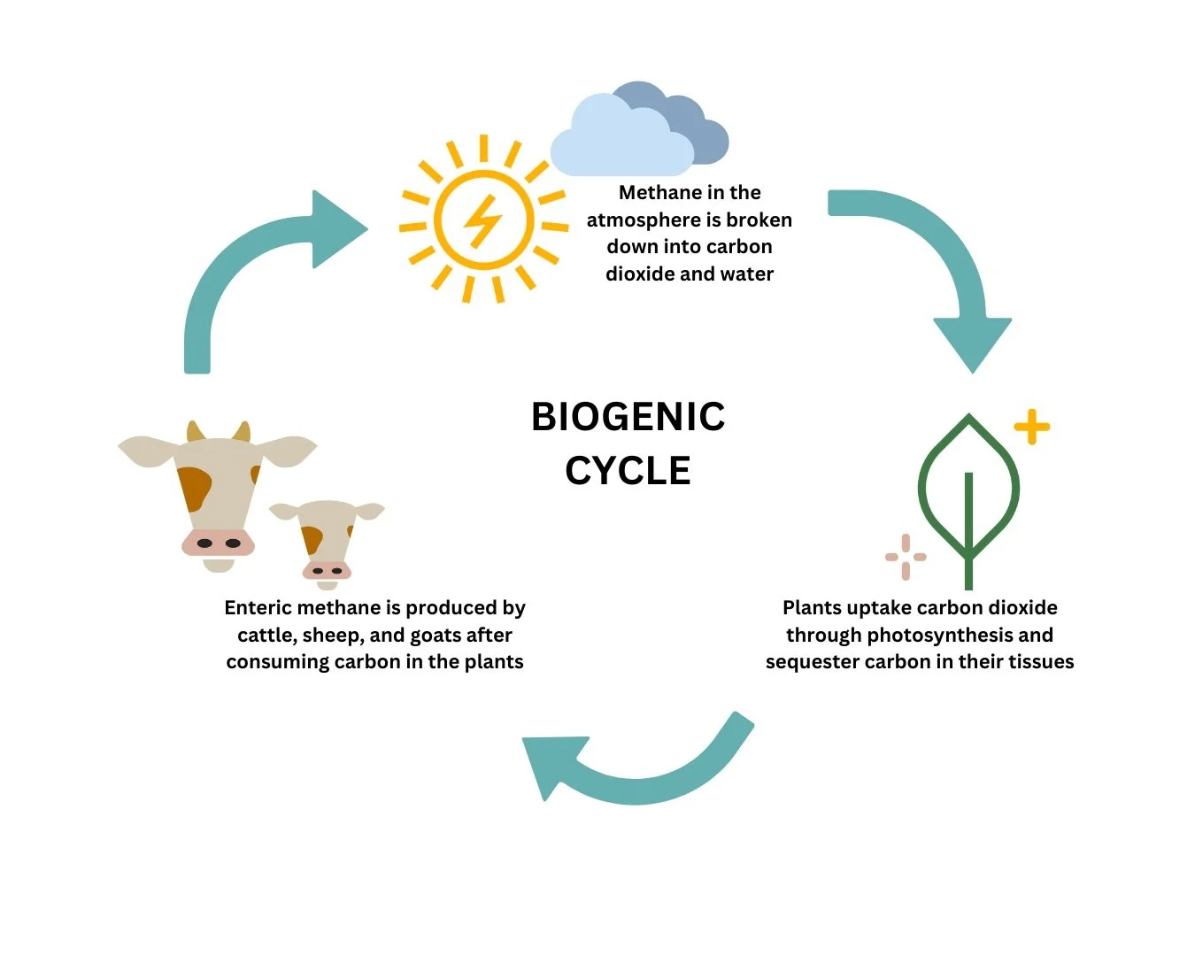 Methane Mitigation Across America: State Legislature and Local Efforts ...