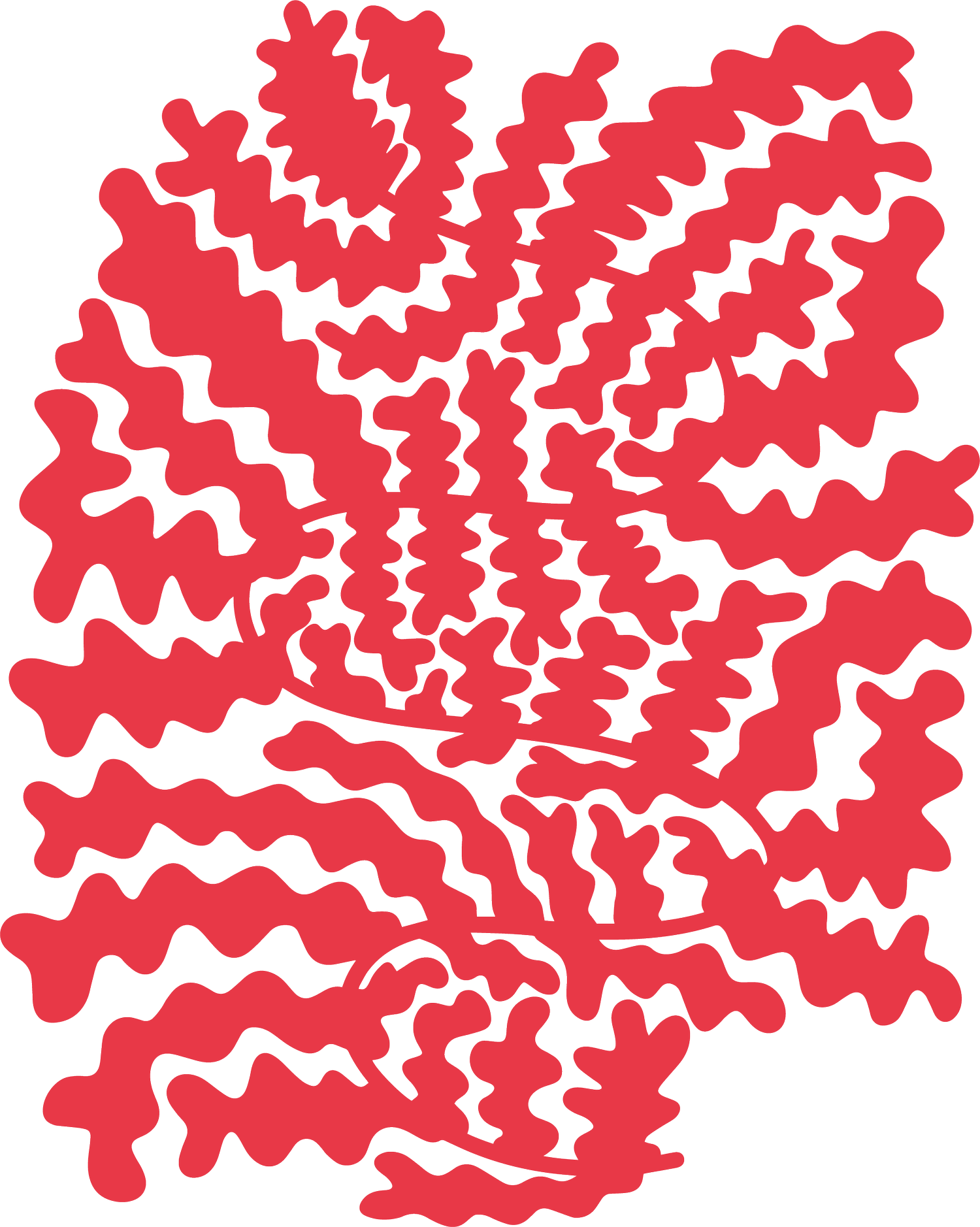 Symbrosia Team — Symbrosia