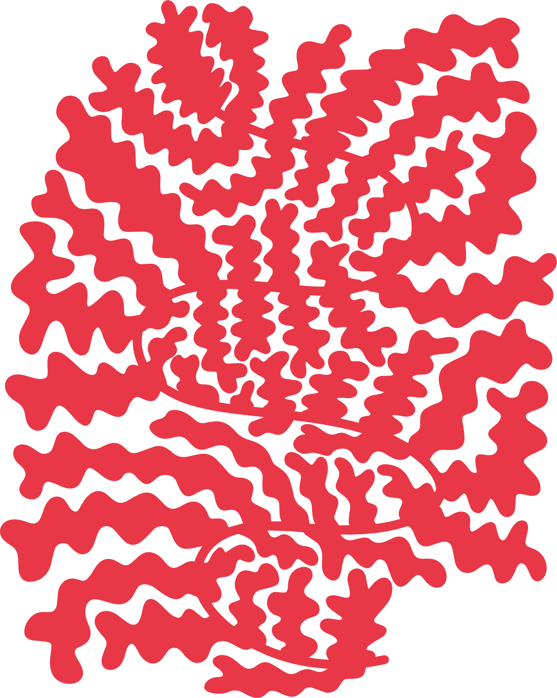 Symbrosia Team — Symbrosia