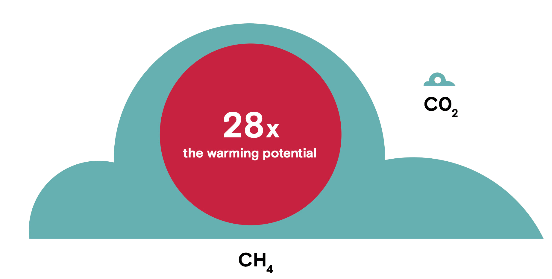Hawaiʻi's First Low Methane Burger — Symbrosia